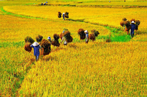 when is the best time to visit Vietnam/ Vietnam Weather